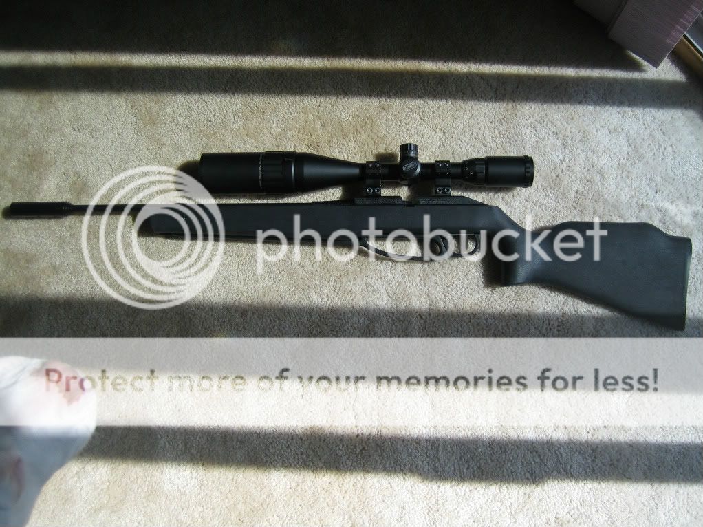 Daisy 953 review (initial impressions) - Canadian Airgun Forum