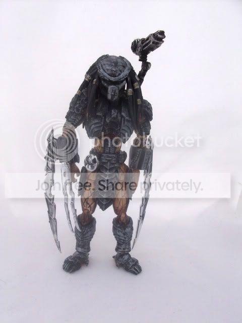 AVP Chopper Predator - HissTank.com