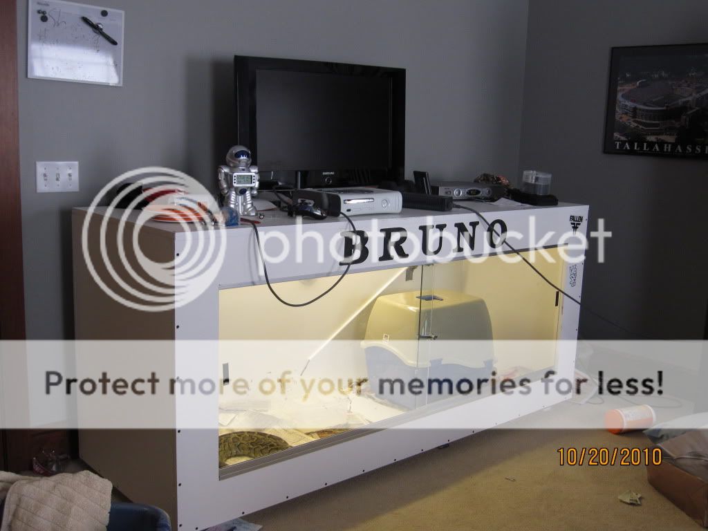 FS: Burmese python and very nice cage fort wayne, indiana pick up only ...