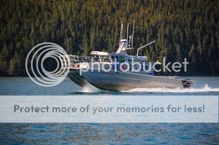 32' Edwing cat for sale - AluminumAlloyBoats.com