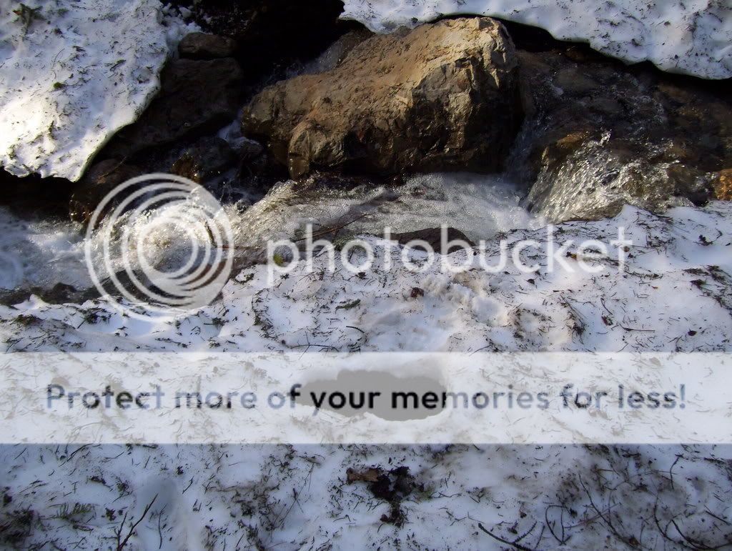 Mr. Flipper & Son Hear, See, and Get Footprints of Bigfoot on Pack Trip ...