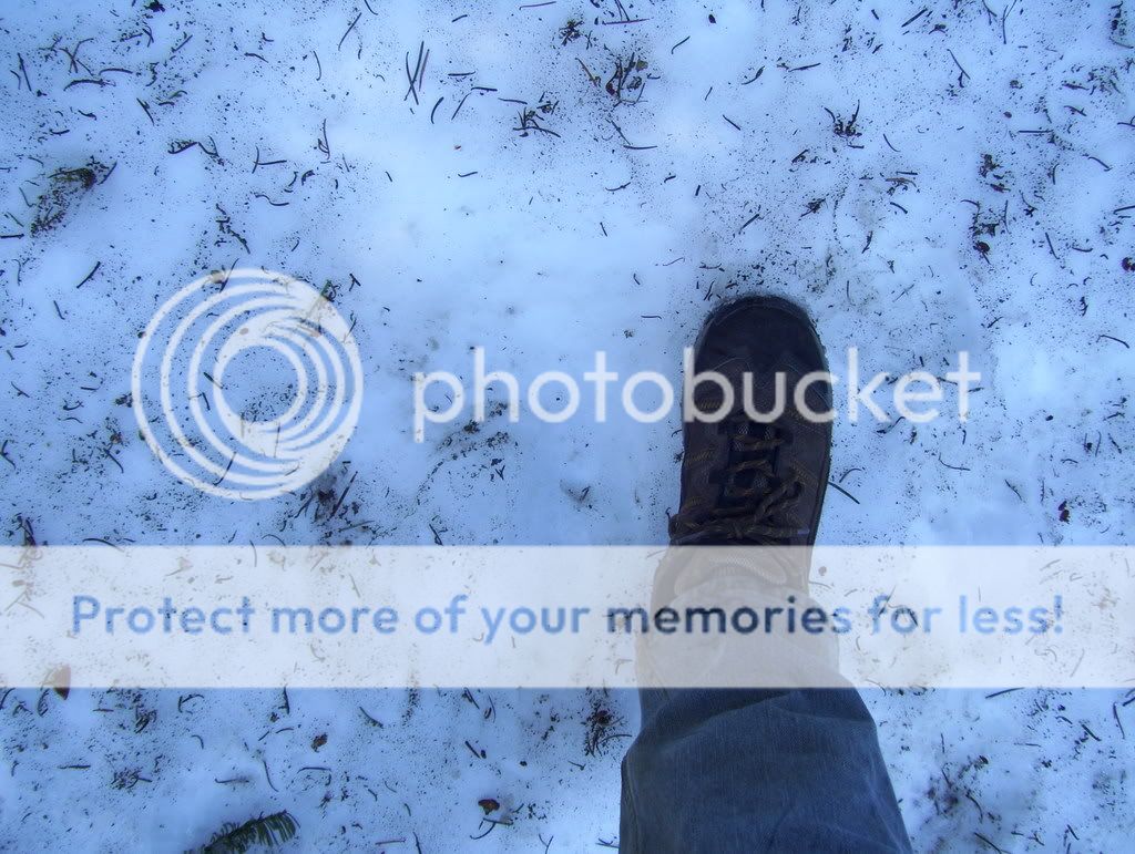 Mr. Flipper & Son Hear, See, and Get Footprints of Bigfoot on Pack Trip ...